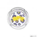 商品詳細ページ | DISH// OFFICIAL STORE | HAPPY? Glass Tray